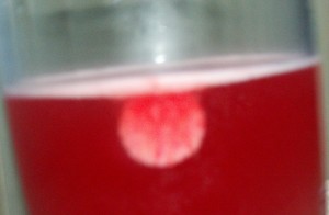 Kool-Aid Fun Fizz Drink Drops Partyin' Punch | Junk Food Betty